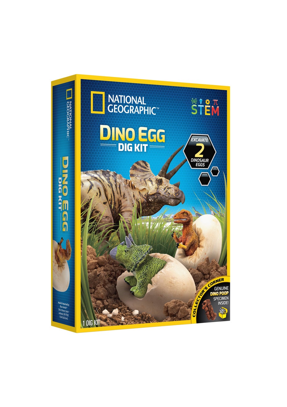 NG Dino Egg Dig Kit - Onceit